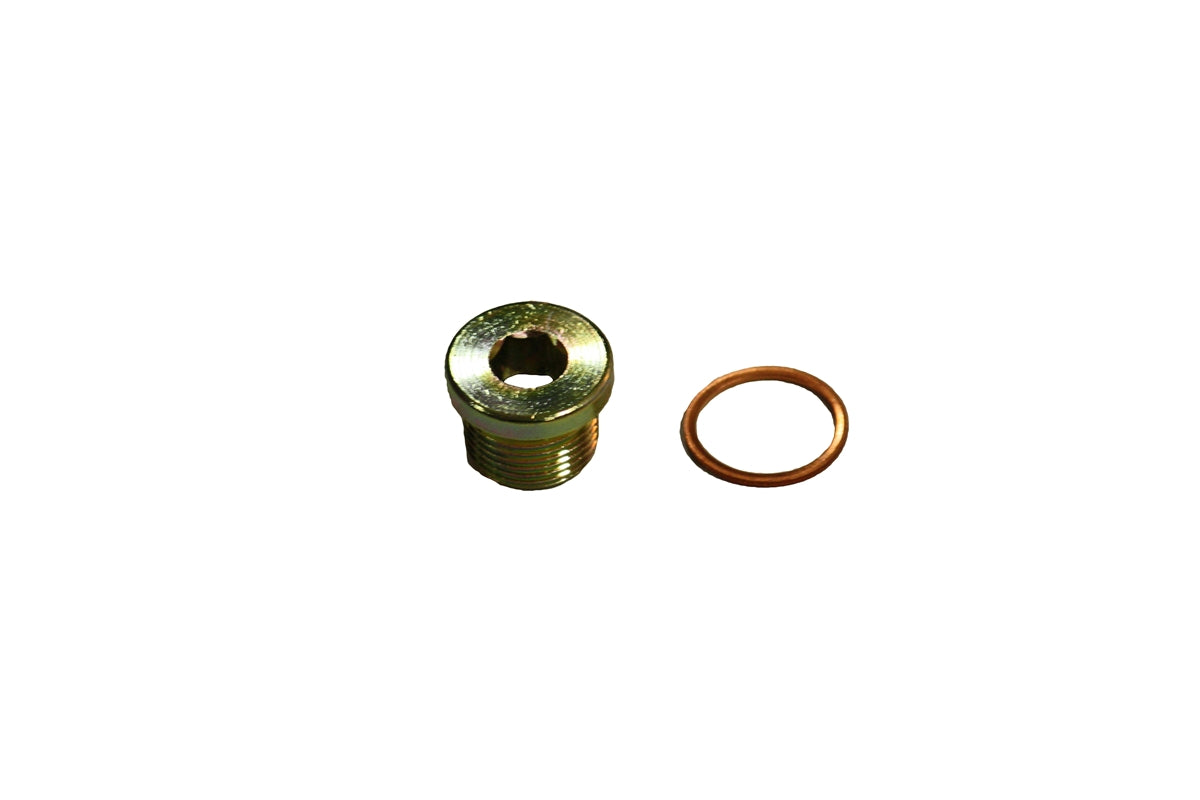 LS/Gen III Low Oil Level Sender Plug Kit – Dave's Customs Unlimited